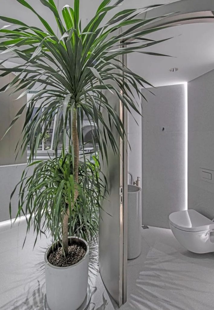 Minimalist Naturalism, Create a Four Season Flower House in a Small ...