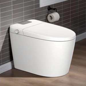 Five Different Types Of Toilet Flush Systems That You Need To Know